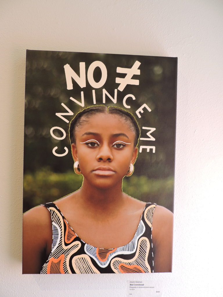 Not Convinced by Autumn Goodman - Downtown Arts District